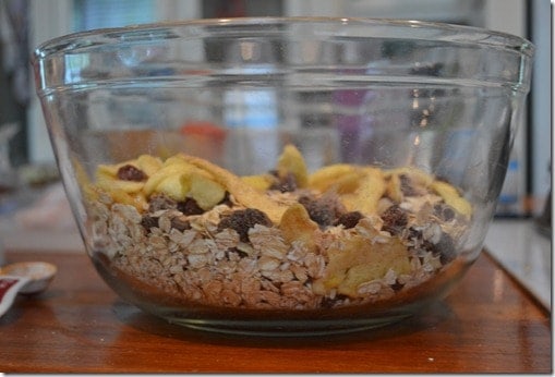 Spa recipes for healthy lunch box snacks - Living On The Cheap