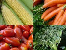 Ideas for starting a vegetable garden on the cheap