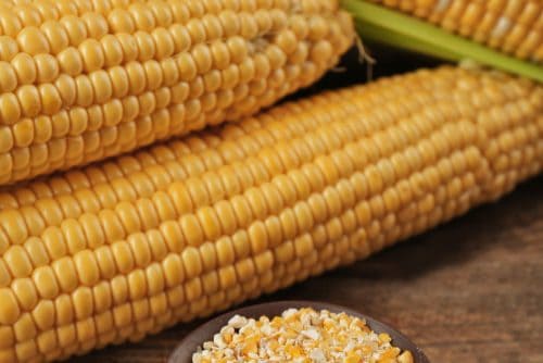 Easy recipes with cheap summer corn - Living On The Cheap