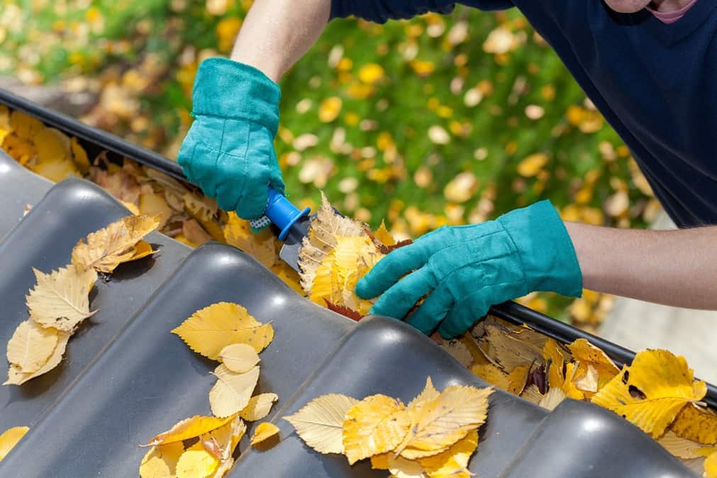 15 fall home maintenance jobs to do now - Living On The Cheap