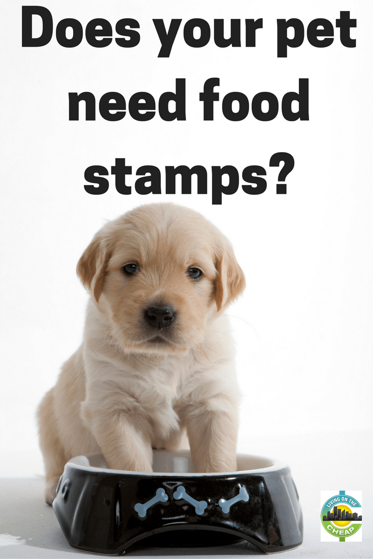 Does your pet need food stamps? Find pet care when you can't afford it ...