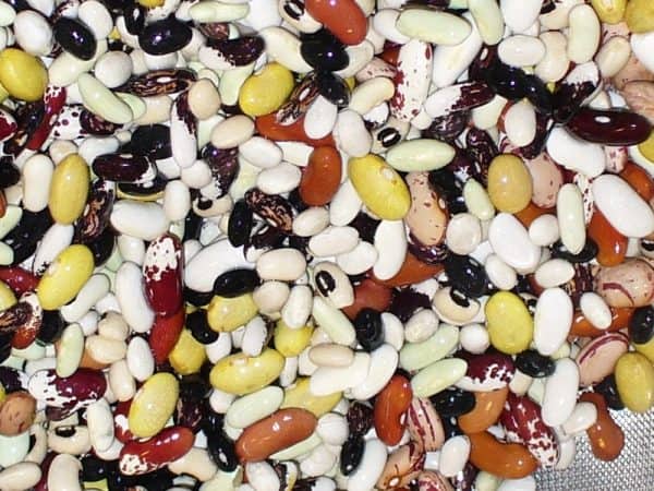 18 strategies for $4-a-day budget meal planning and grocery shopping ...