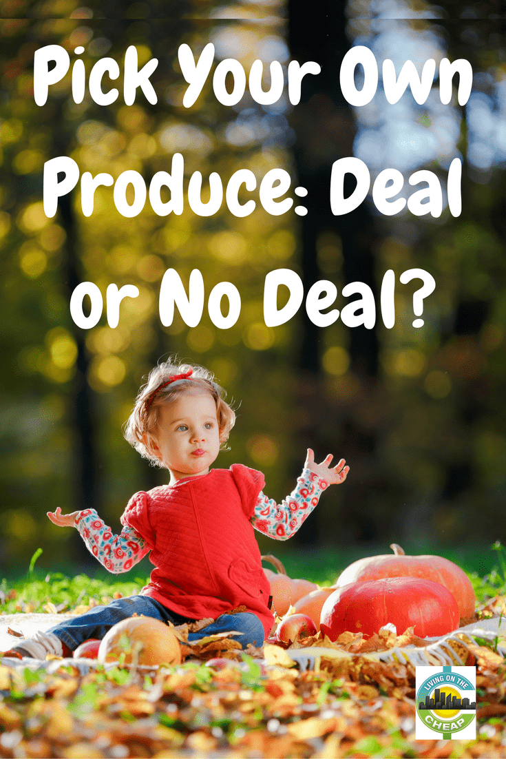 Pick your own produce: Deal or no deal? - Living On The Cheap