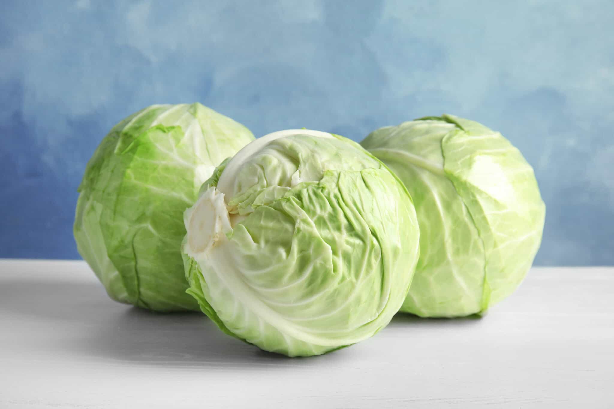 Cabbage recipes your family will actually eat (+ cooking tips) - Living ...